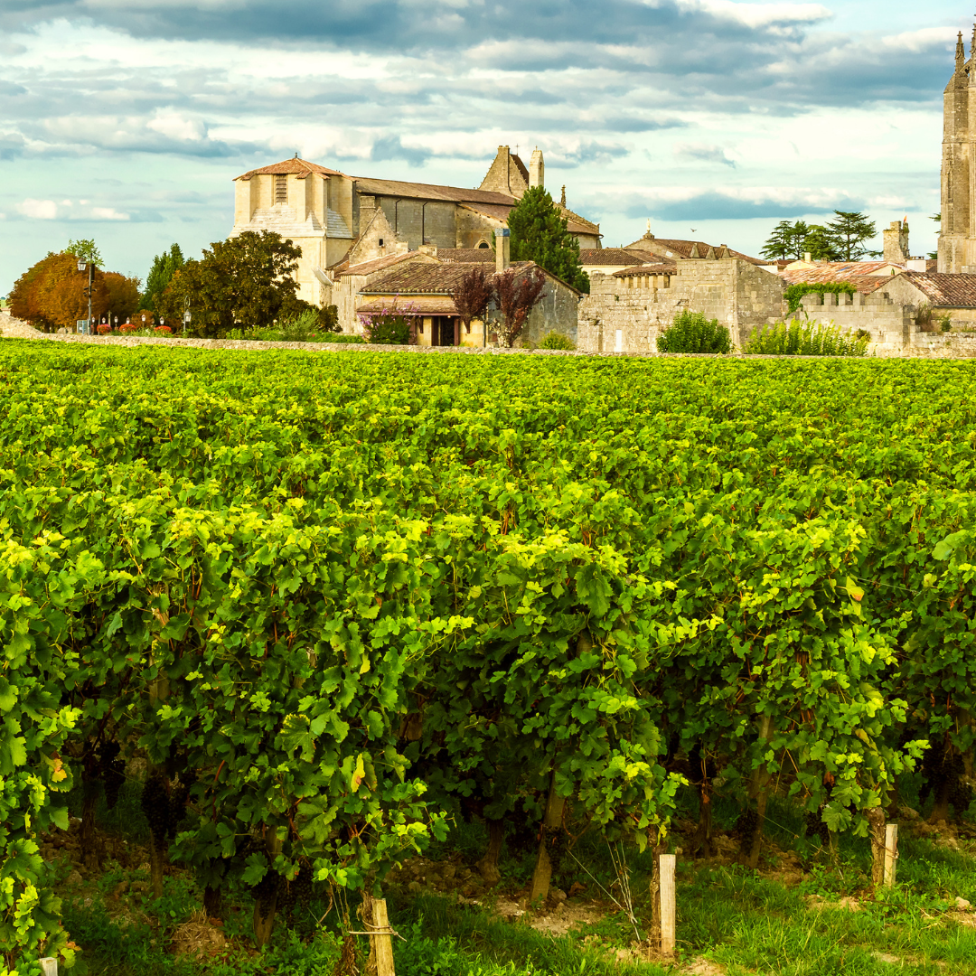 Single Vineyard, Estate Bottled, or Blended Wines: Know the Difference ...