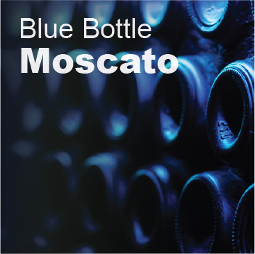 Blue Bottle Moscato | Premium Kosher Wines | Kosher Wine Warehouse