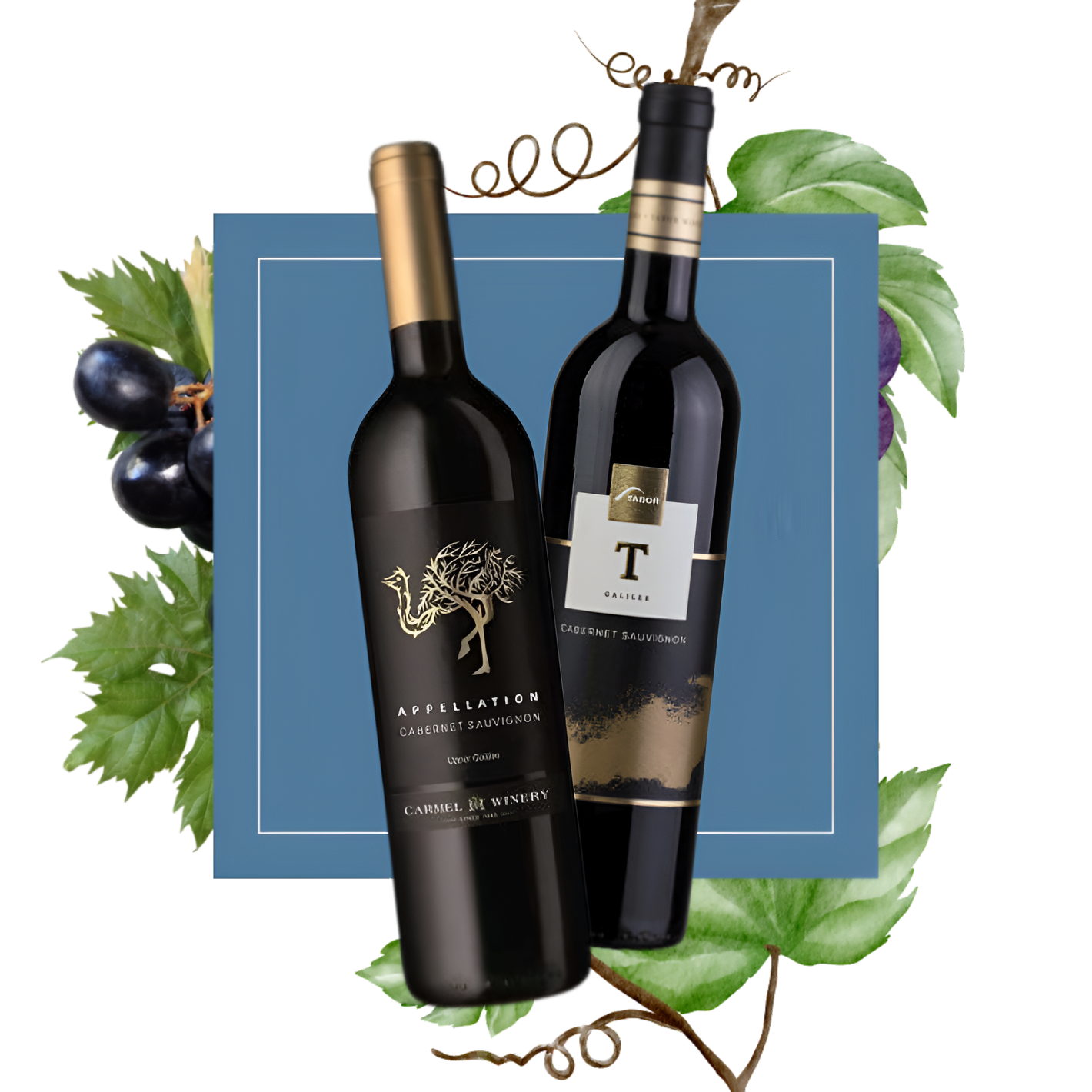 Kosher Wine Concierge | Expert Selections for Celebrations & Milestones ...