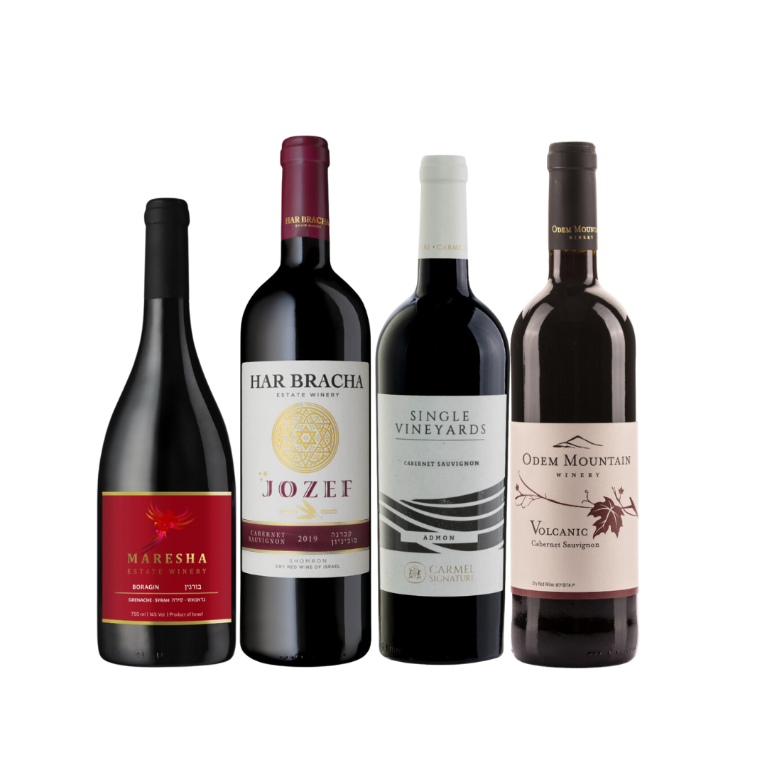Israeli Red Wine Mixed Case – Kosher Wine Warehouse