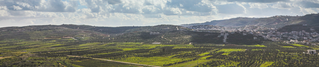 Shiloh Winery: Wines from the Land of the Ark – Kosher Wine Warehouse
