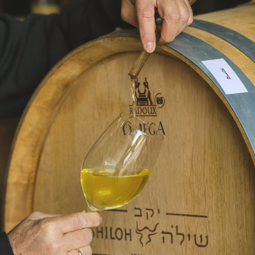 Shiloh Winery: Wines from the Land of the Ark – Kosher Wine Warehouse