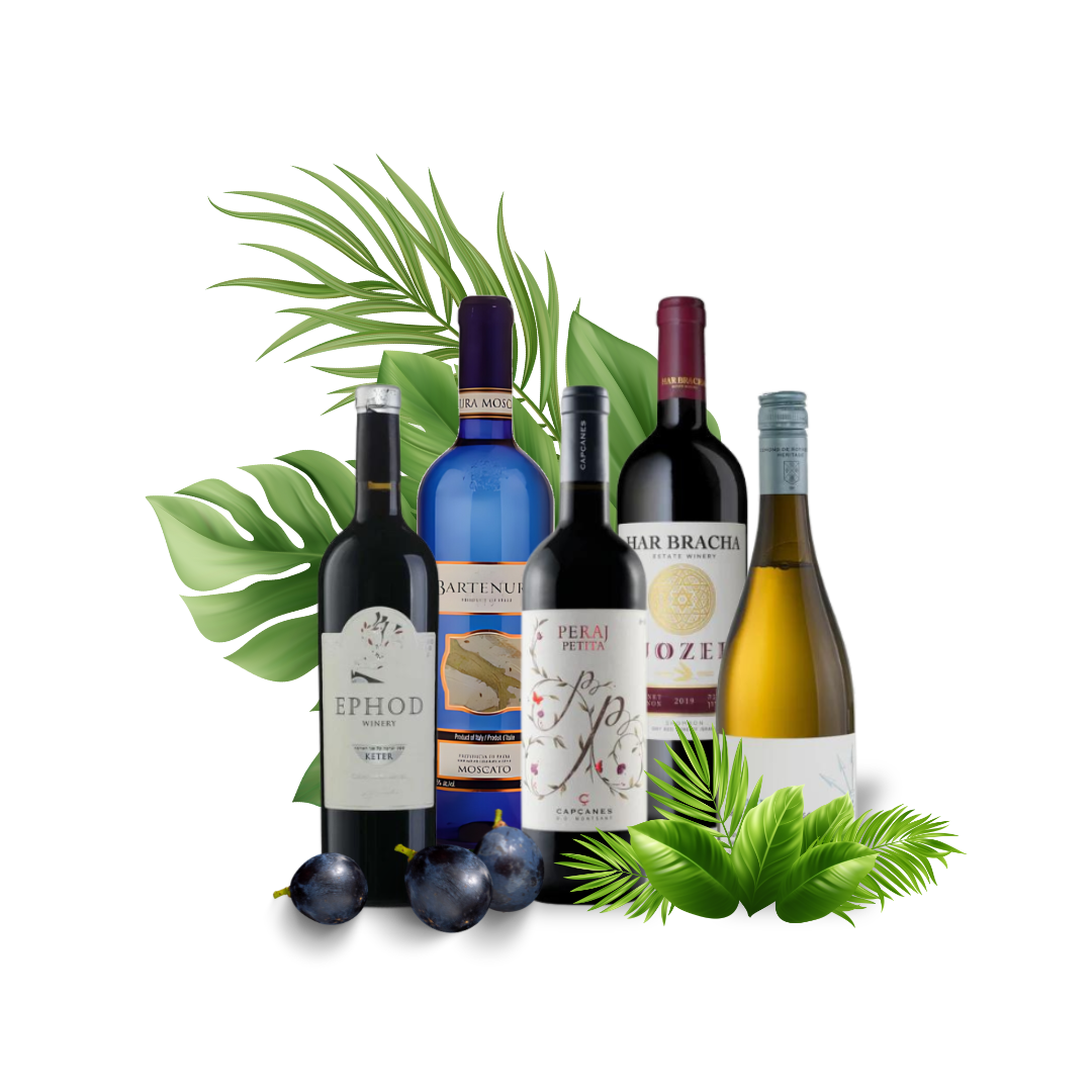 Kosher Wine Warehouse | Kosher Wines Online | Miami & Nationwide